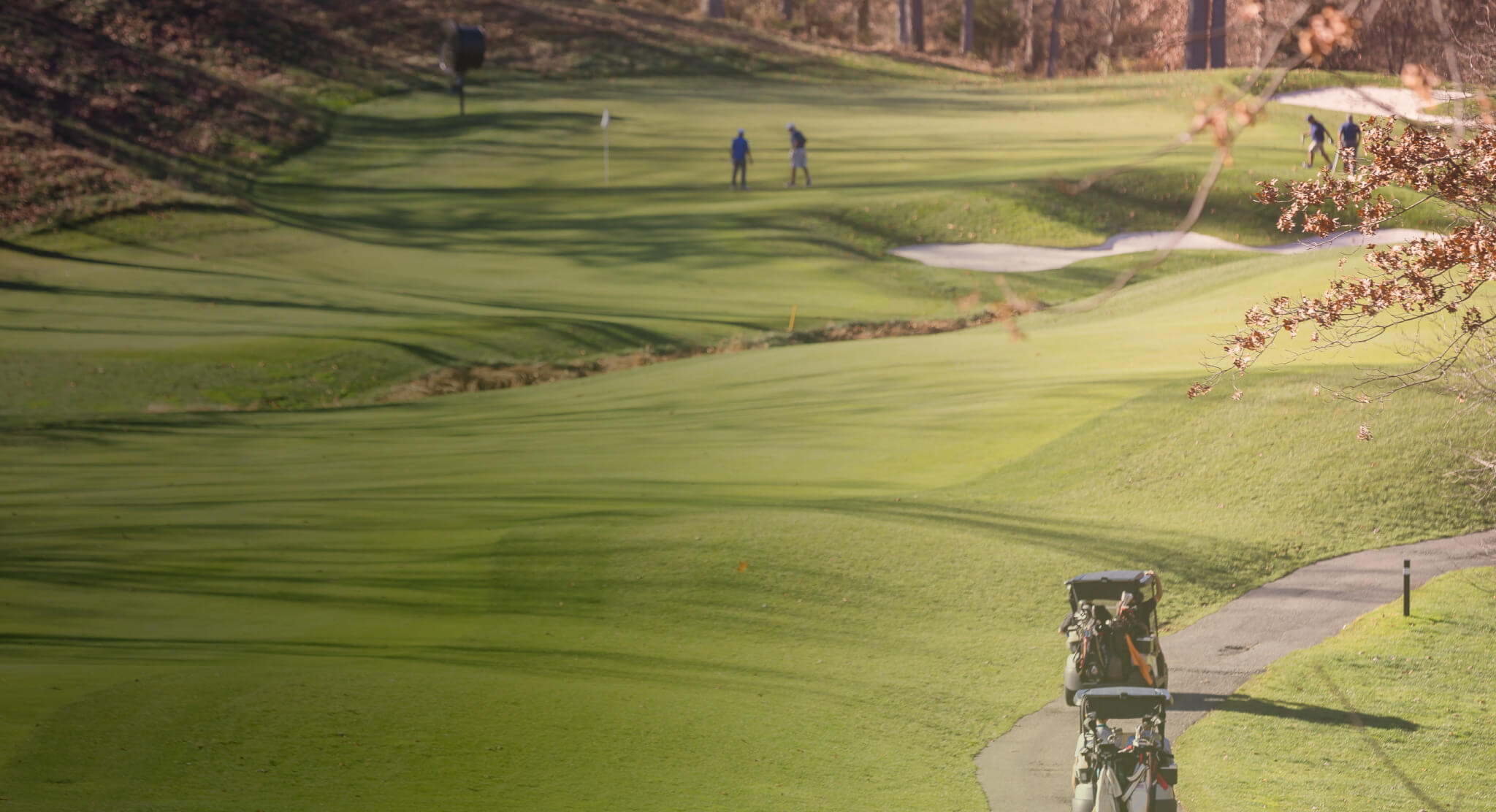 Maryland Chamber of Commerce